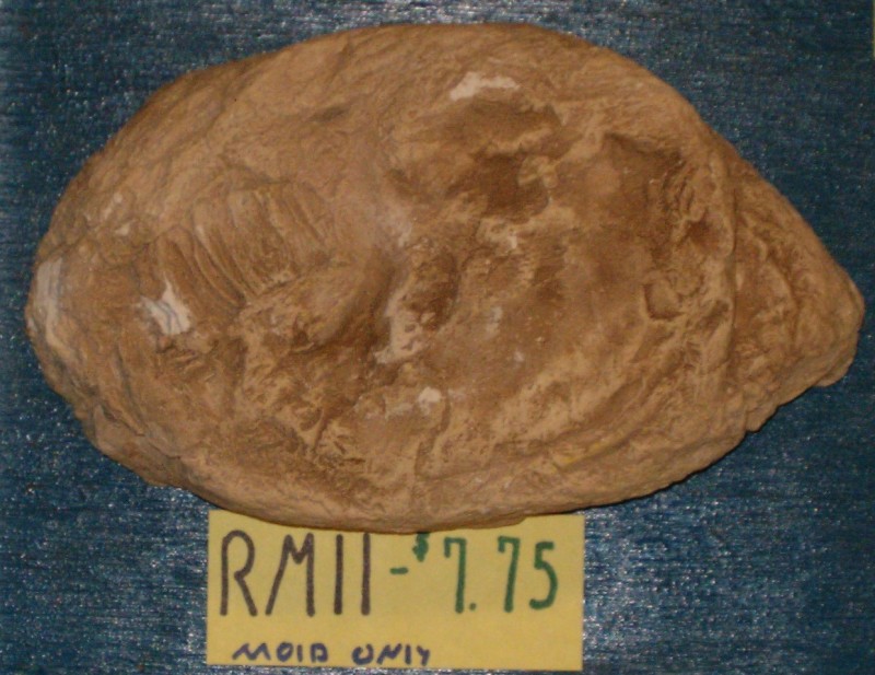 Rock Molds and Castings